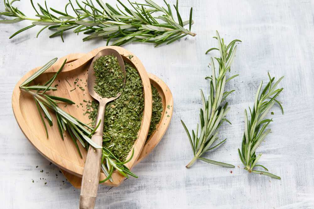 Rozmarinul - care sunt proprietatile si beneficiile acestuia, moduri de ...